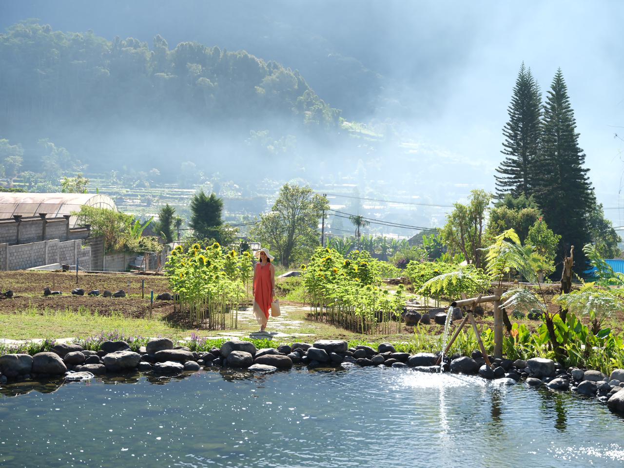 Gallery – Dusun Bedugul Asri