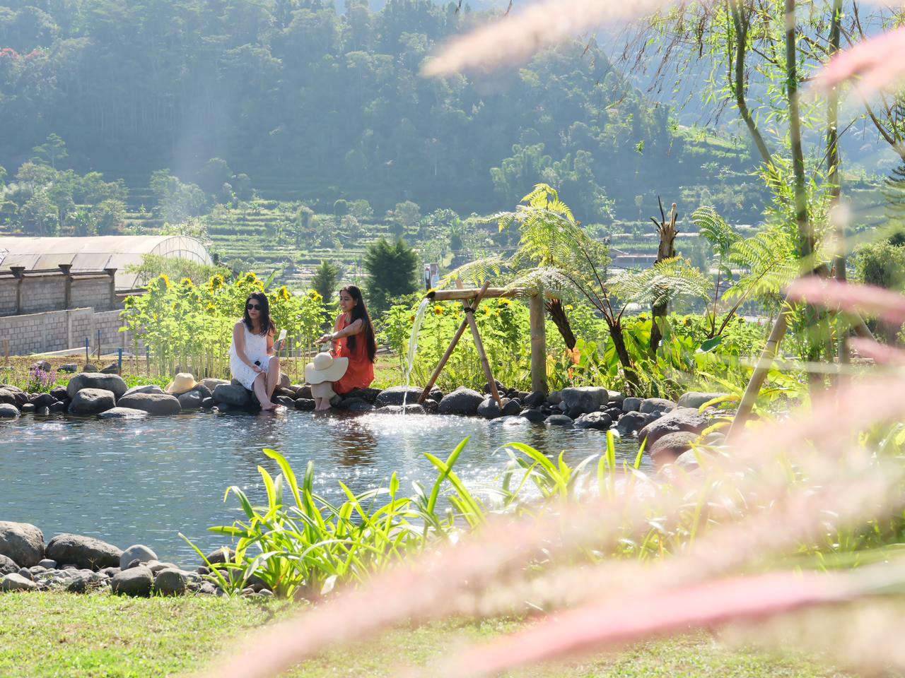 Gallery – Dusun Bedugul Asri