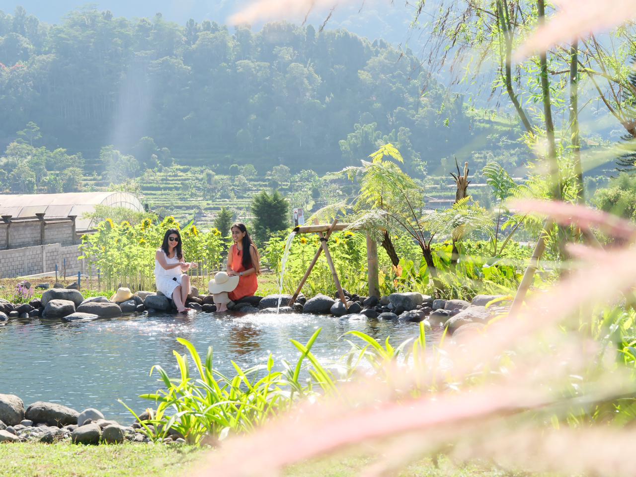 Gallery – Dusun Bedugul Asri