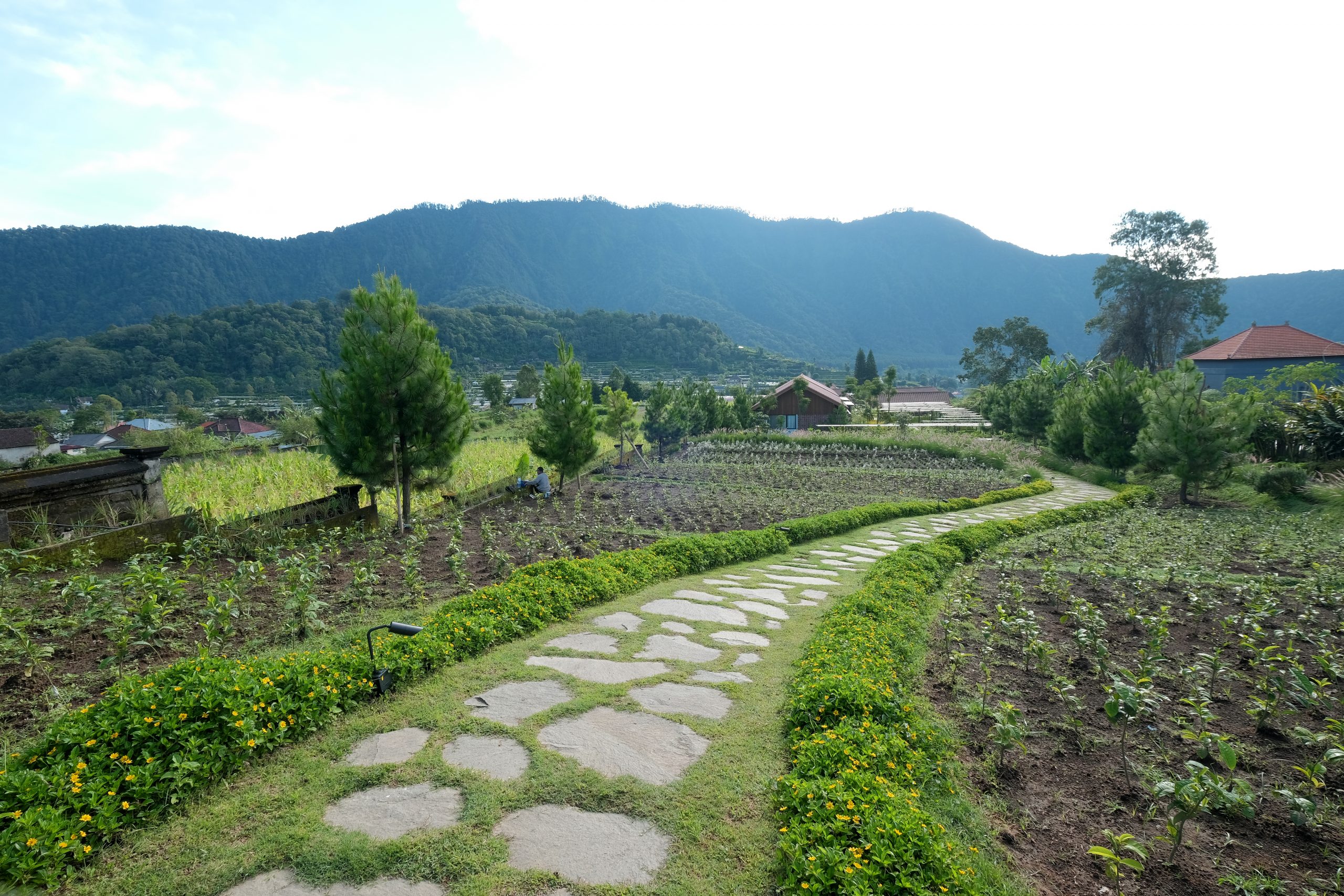 Homepage - Dusun Bedugul Asri